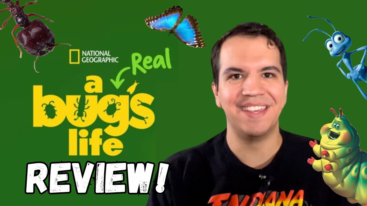 "A Real Bug's Life" Review - YouTube