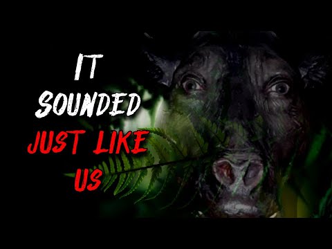 Dschungelgeschichte | Klassischer CreepyPasta-Horror