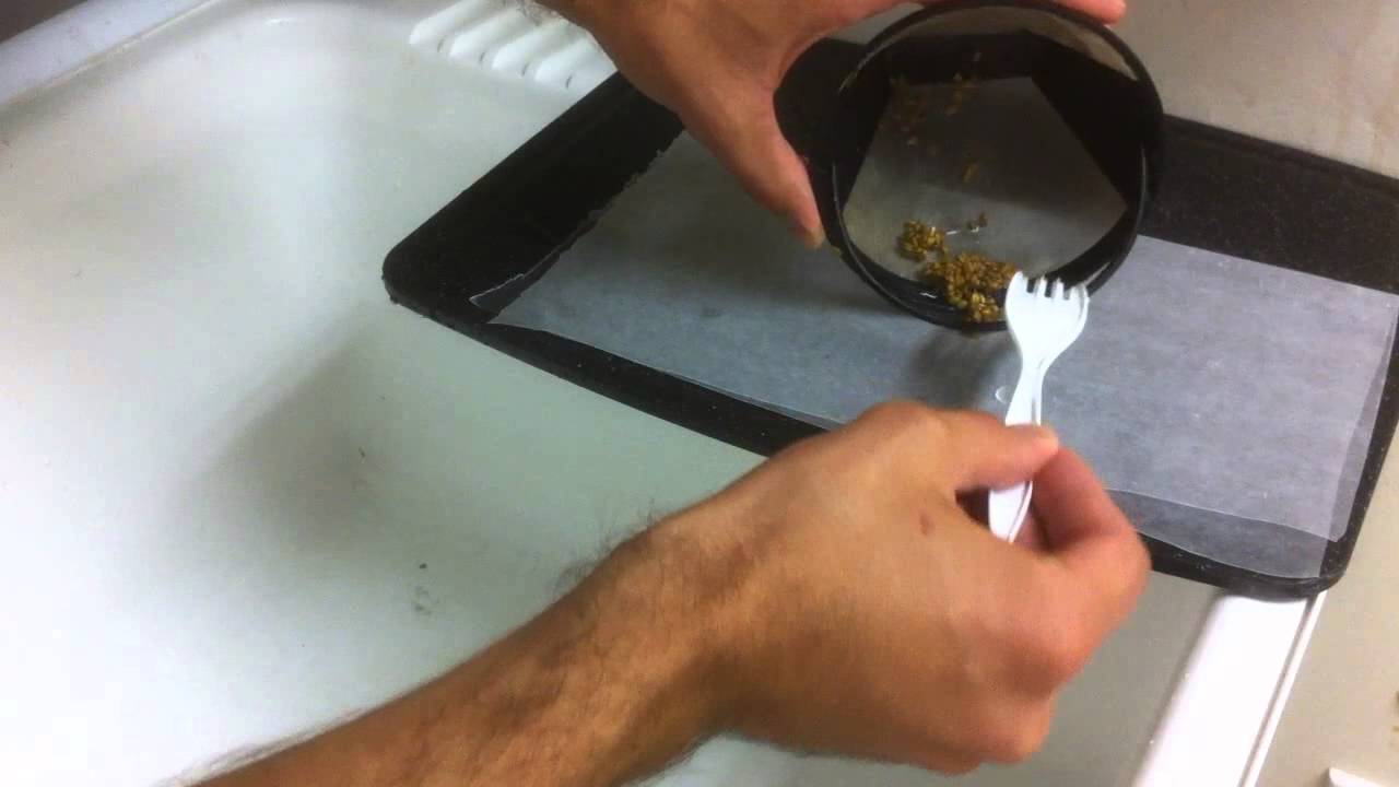 How to Save YOUR Tomato Seeds! Quick and EASY Seed Saving Tomatoes ...