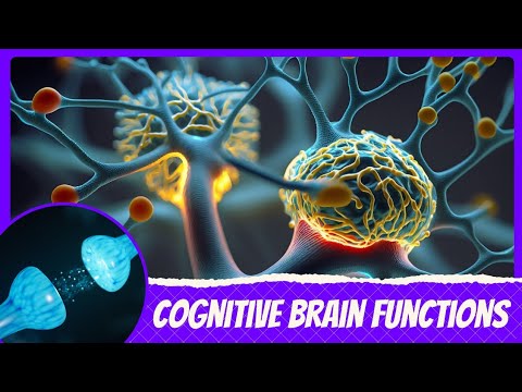 Neuroscience and the Human Brain: Understanding Cognitive Functions ...