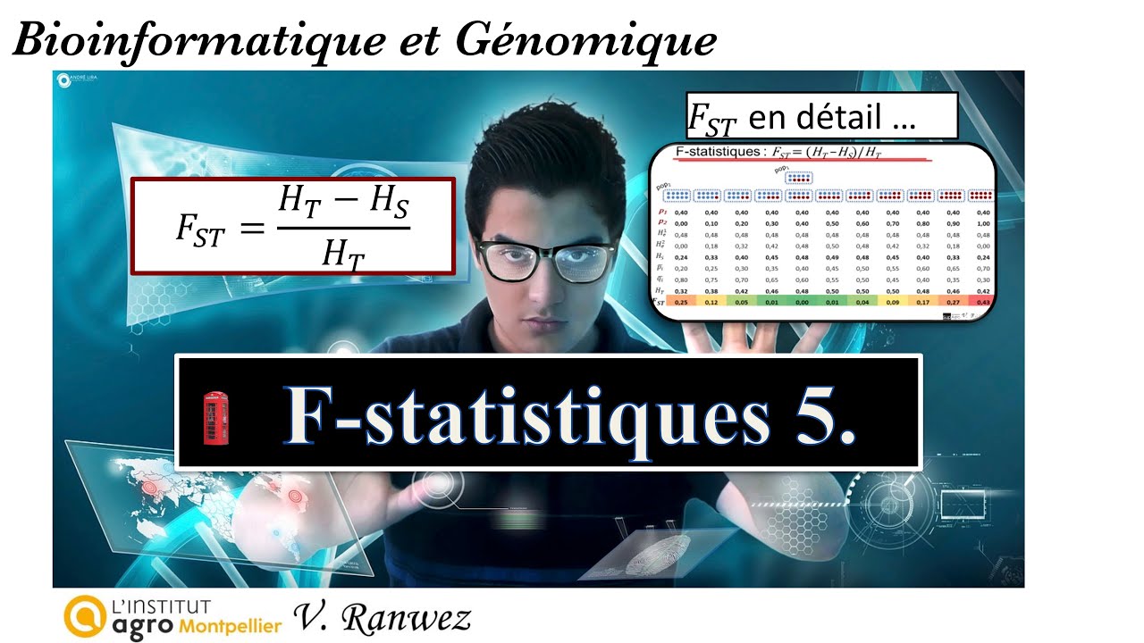 F-statistiques (5) Fst exemples détaillés - YouTube