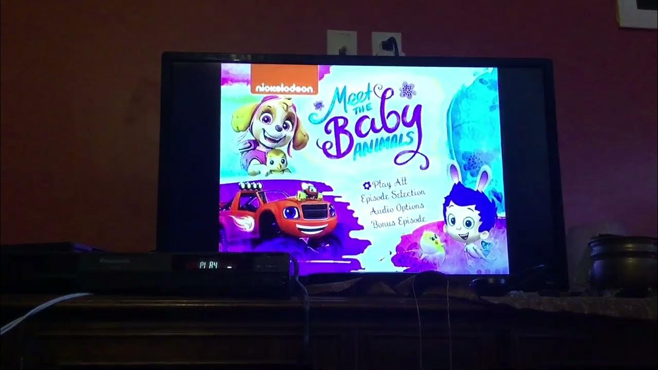 Opening to Nickelodeon Meet the Baby Animals 2019 DVD (Chesley copy ...