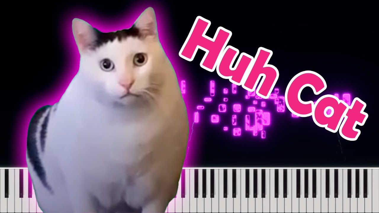 The “Huh” Cat MIDI - Huh Cat Crazy Piano sound - YouTube