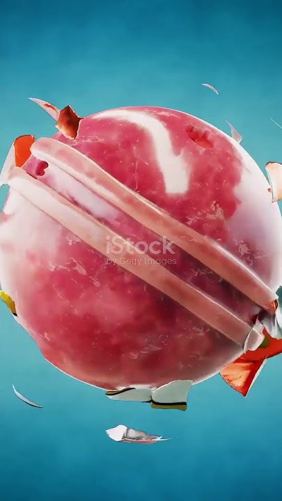 Master Java OOP: Classes to Polymorphism! - YouTube