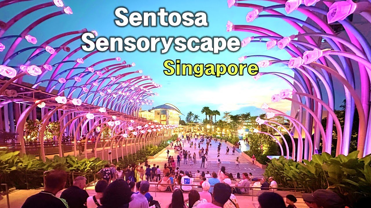 Experience The Sensoryscape Tour: Sentosa's Newest Attraction In ...