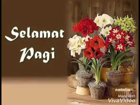 Seks dewasa