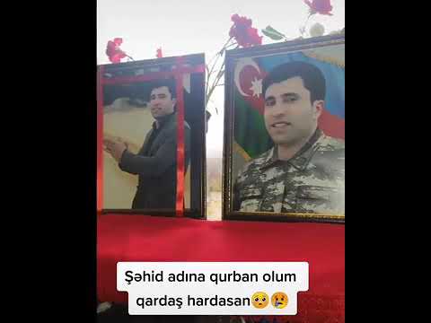 Sehid Dasqin Sefiyev