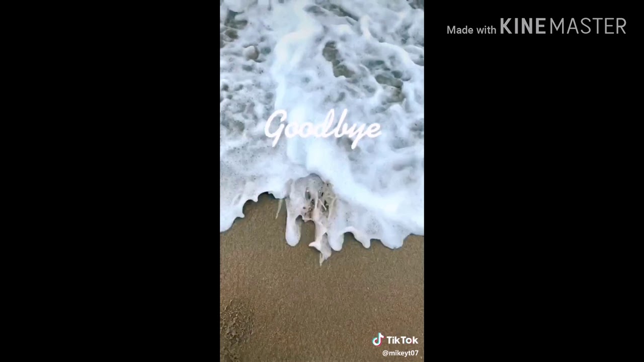TIKTOK GOODBYE 2019 - YouTube