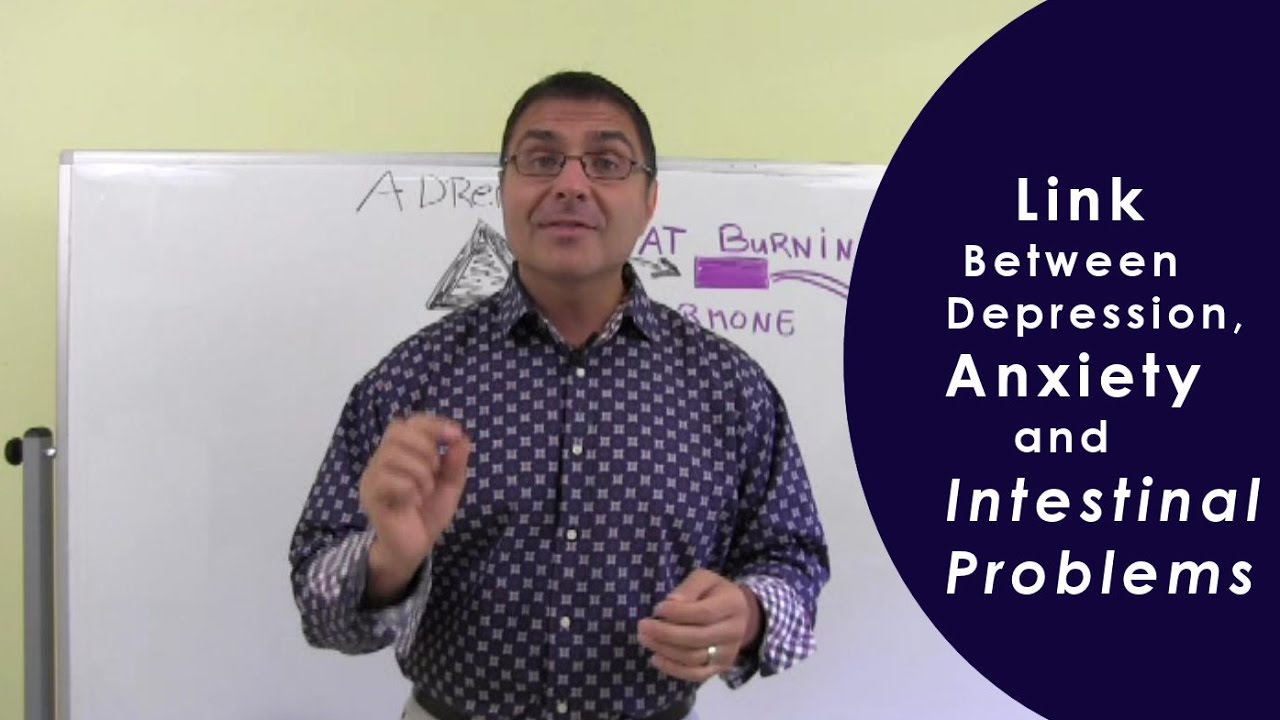 Link Between Depression, Anxiety and Intestinal Problems with Dr. Rob ...