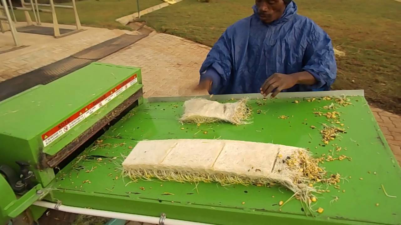 FEEDGROW Barley sprouts - Shredder - YouTube