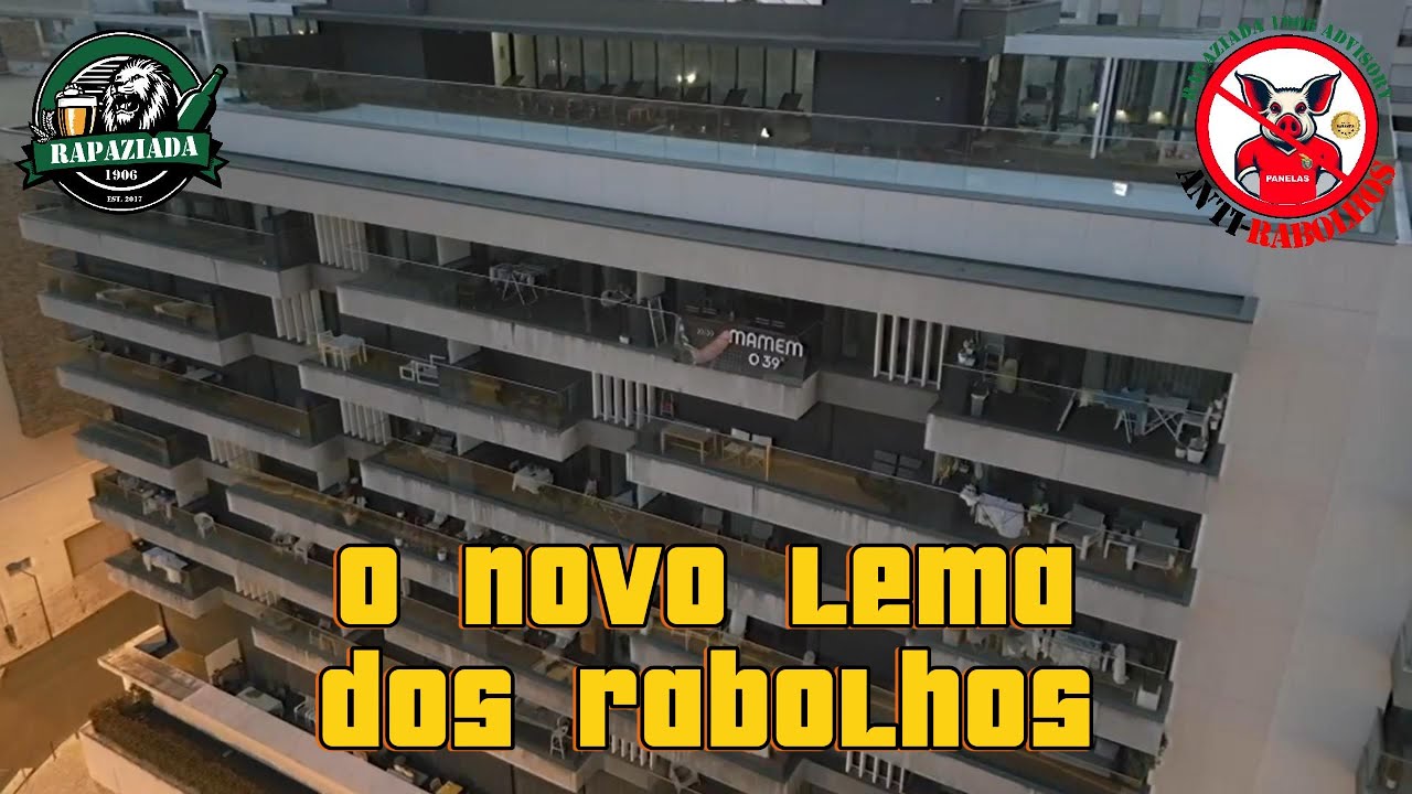 🐷 O NOVO LEMA DOS RABOLHOS 🐖 - YouTube