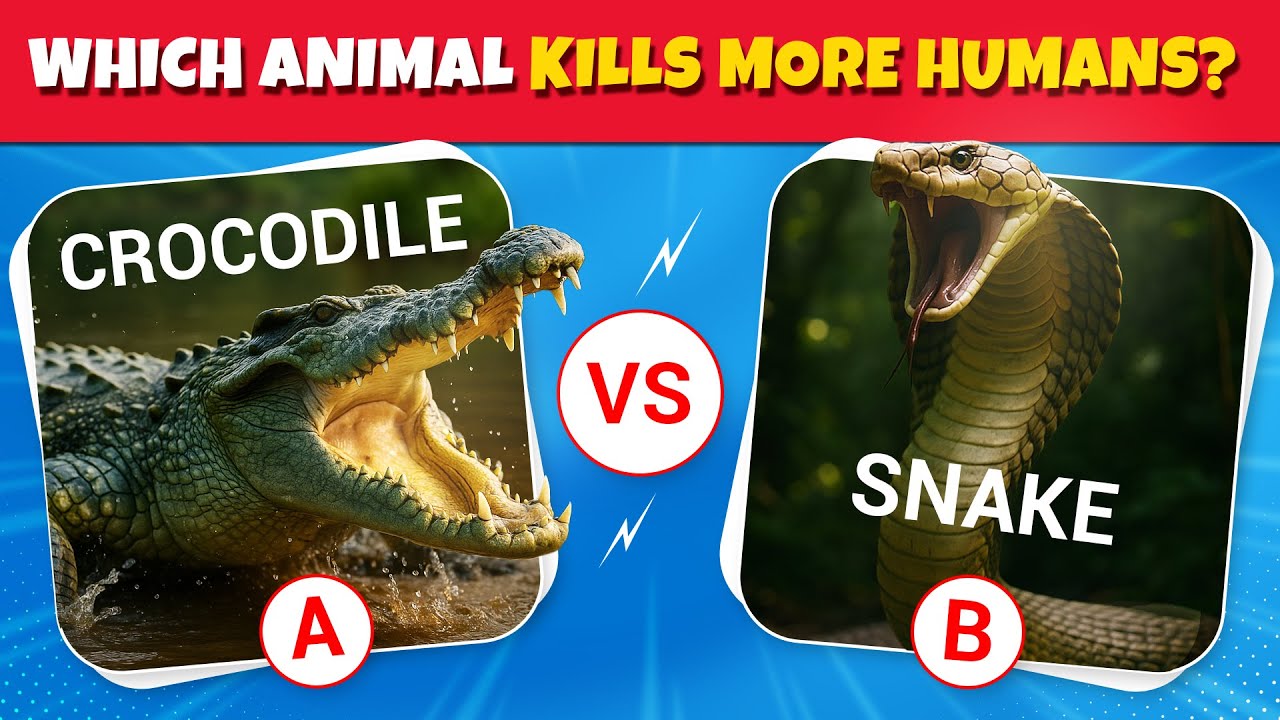 Which Animal Kills More Humans? 🔥 You’ll Be SHOCKED by the Real Killer ...