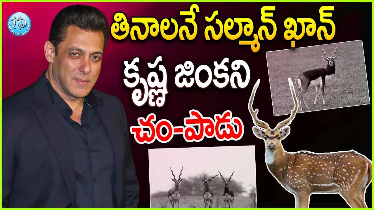 తినాలనే సల్మాన్ ఖాన్ కృష్ణ జింకని చంపాడు Retd IFS G Viswanatha Reddy ...