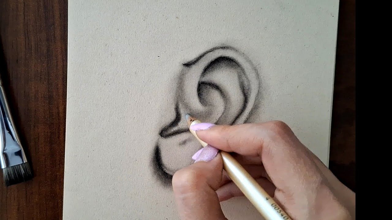 how to draw head for beginners | how to draw realistic head shape - YouTube