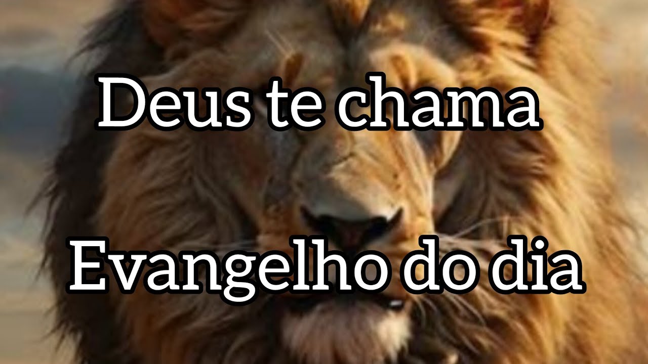 Deus te chama / Evangelho do Dia/ Reflexão da palavra/ Jesus te ama ...