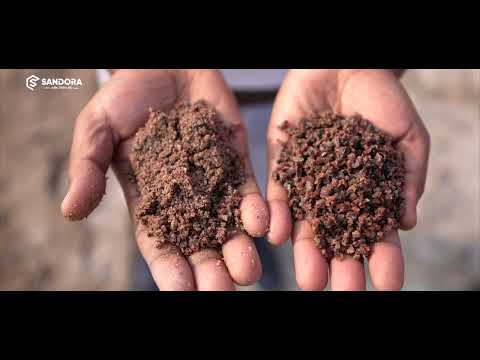 Documentary: Sandora M Sand