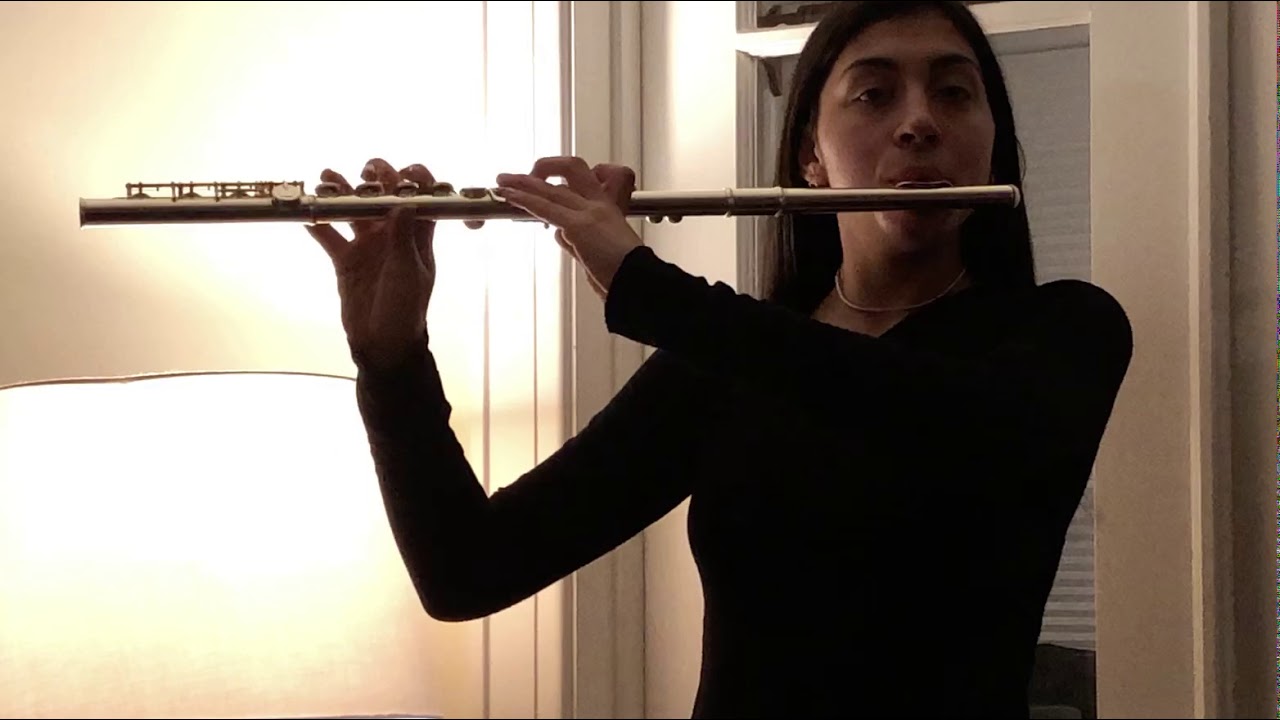 Classical Flute / Chromatic Scale, Eb Major Scale, D Major Scale - YouTube