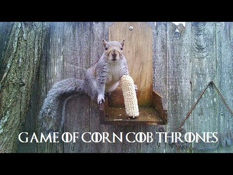 Game of Corn Cob Thrones - 11/12/19 - YouTube