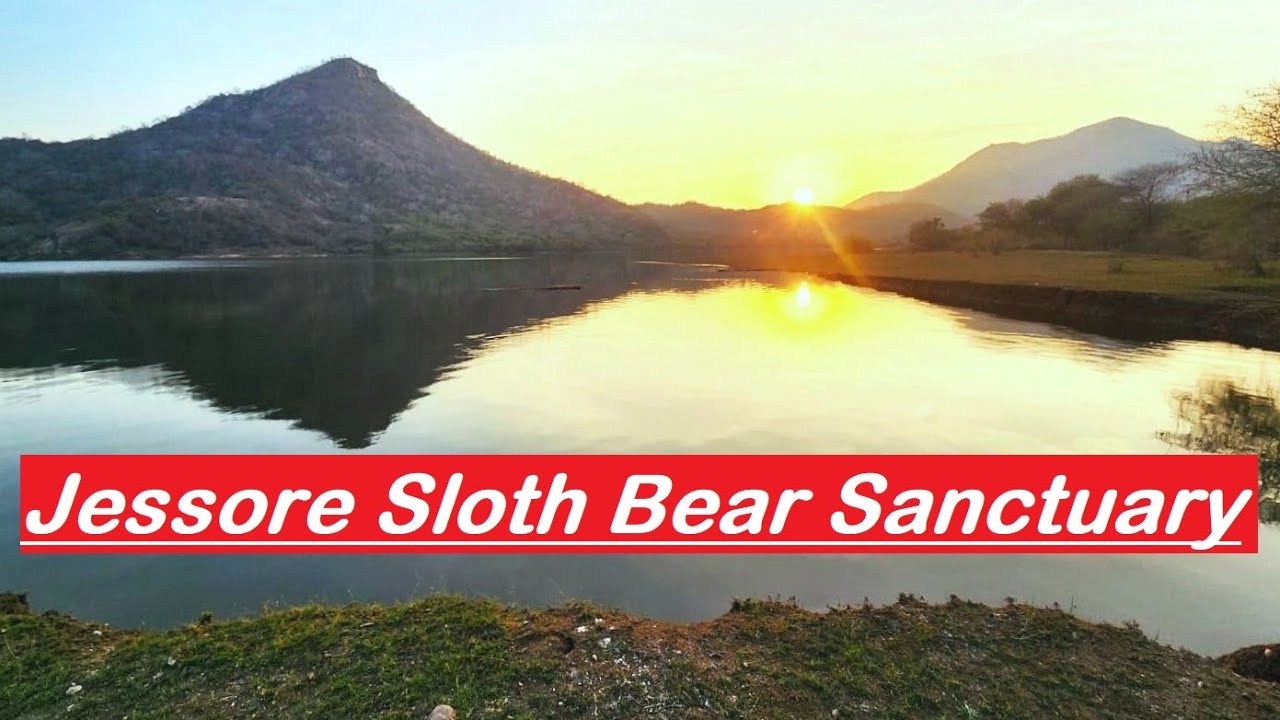 Jessore Eco Camp l Jessore Sloth Bear Sanctuary l Dantiwada Dam l EP-6 - YouTube