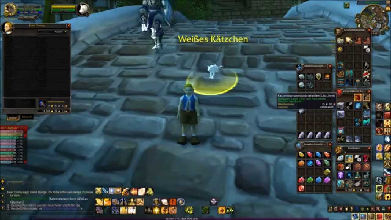 World of Warcraft - Klein Timmy ( Lil Timmy ) - YouTube