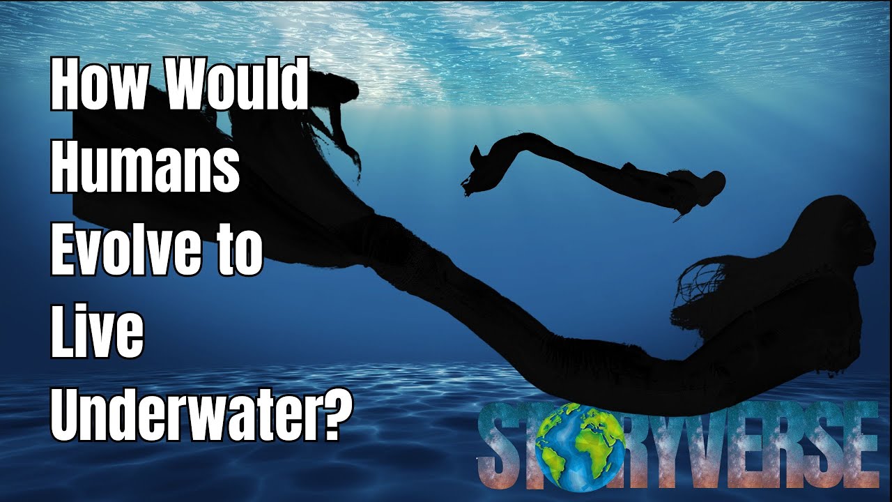 How Would Humans Evolve to Live Underwater? | StoryVerse ...