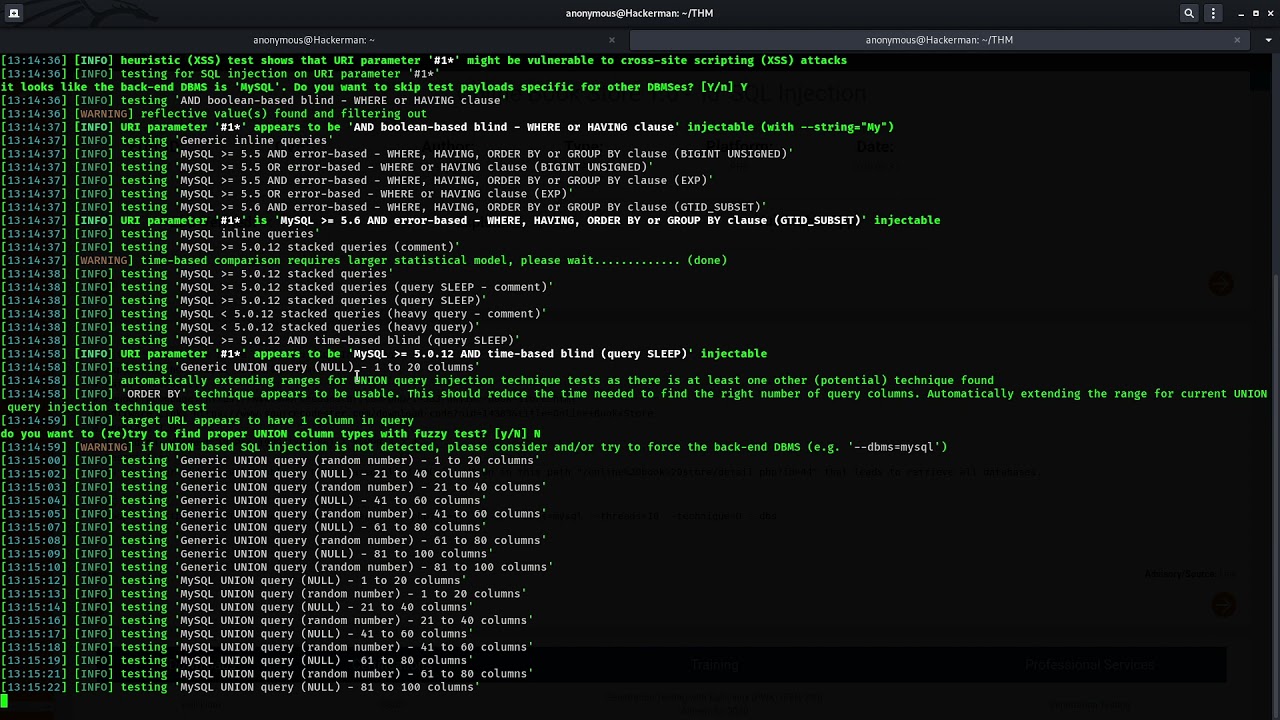 TryHackMe #347 Exploit Vulnerabilities - YouTube