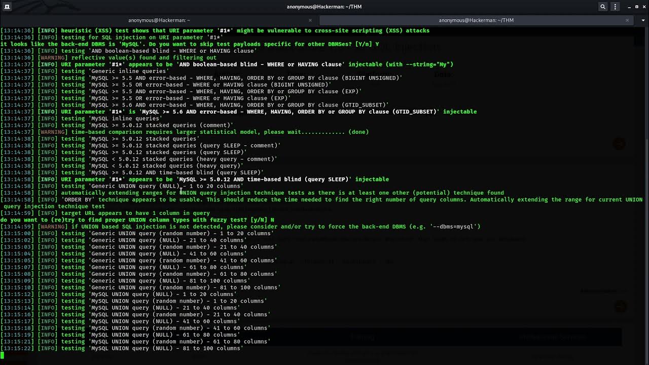 TryHackMe #347 Exploit Vulnerabilities - YouTube