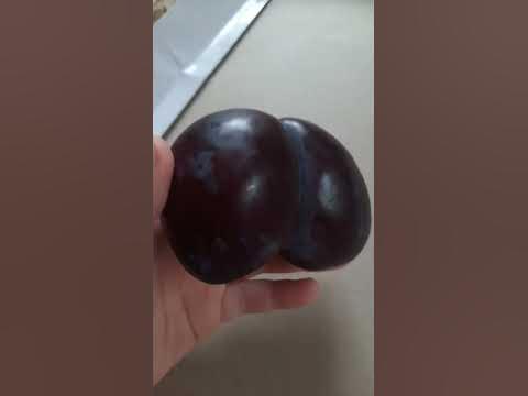 Слива - YouTube