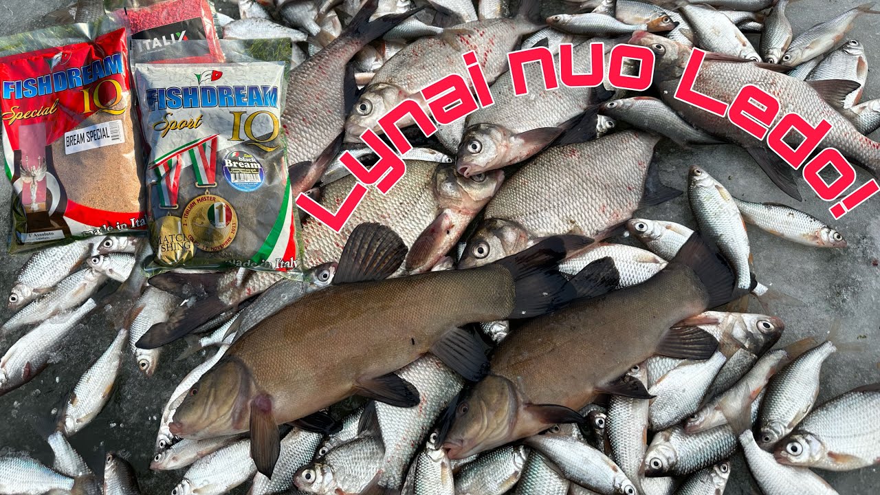 Lynai nuo ledo tv - YouTube