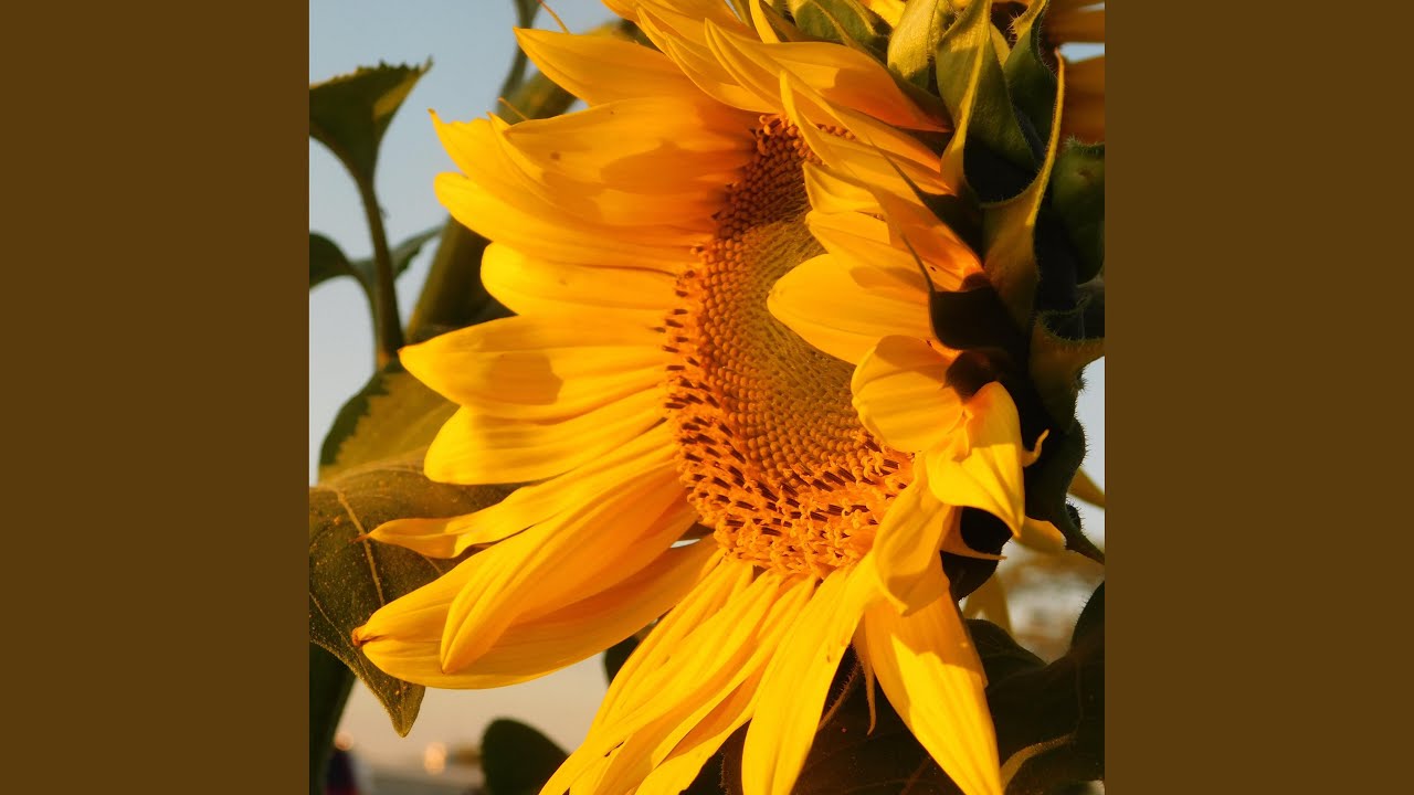 Own Groove - YouTube