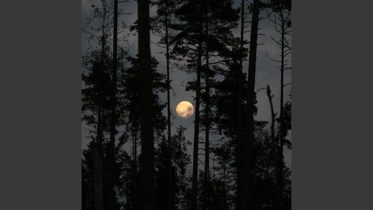 Hold me till I sleep - YouTube
