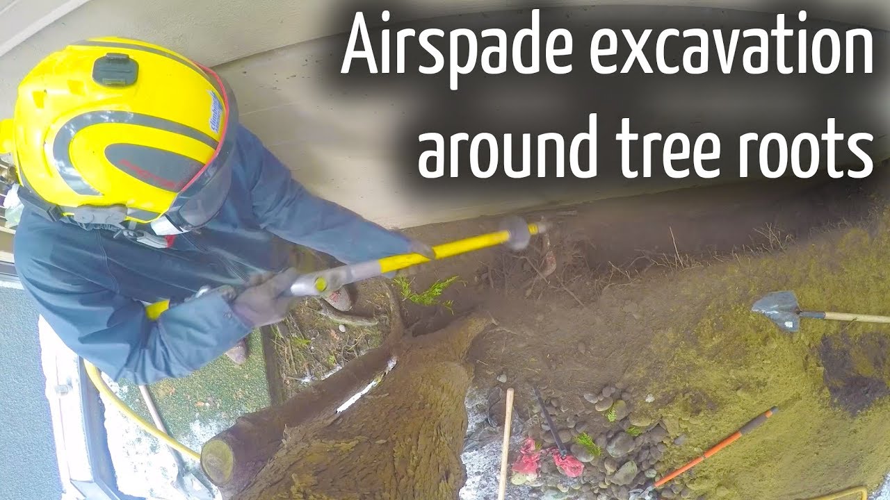 Airspade around tree roots - YouTube