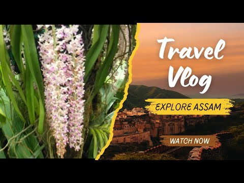 Explore Assam Orchid And Cactus Park Kaziranga Assam #orchid #kaziranga ...