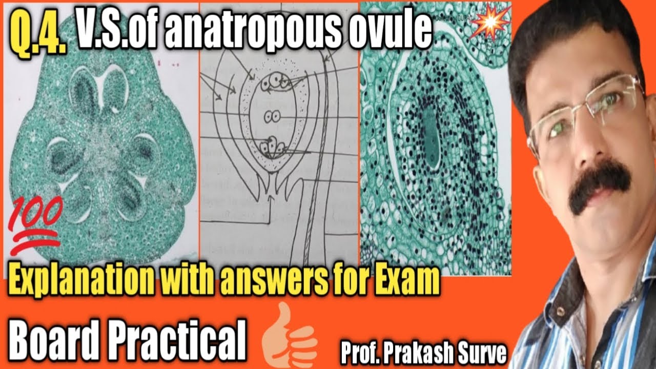 V.S.of anatropus Ovule Complete explanation with answers for Board Exam ...