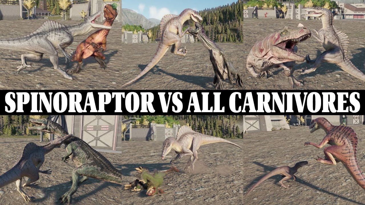 Spinoraptor Vs All Carnivores Jurassic World Evolution 2 Youtube