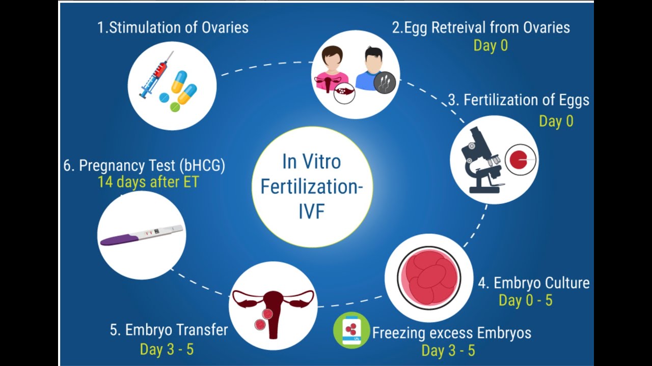 IVF - How to give a Cetrotide Injection - YouTube