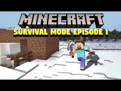 I played Minecraft Survival for the FIRST Time! Minecraft Survival | Episode 1