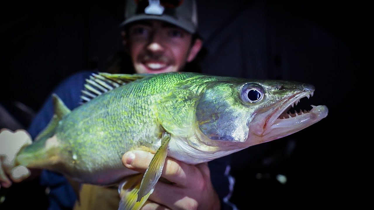 AGGRESSIVE Red River WALLEYE - YouTube
