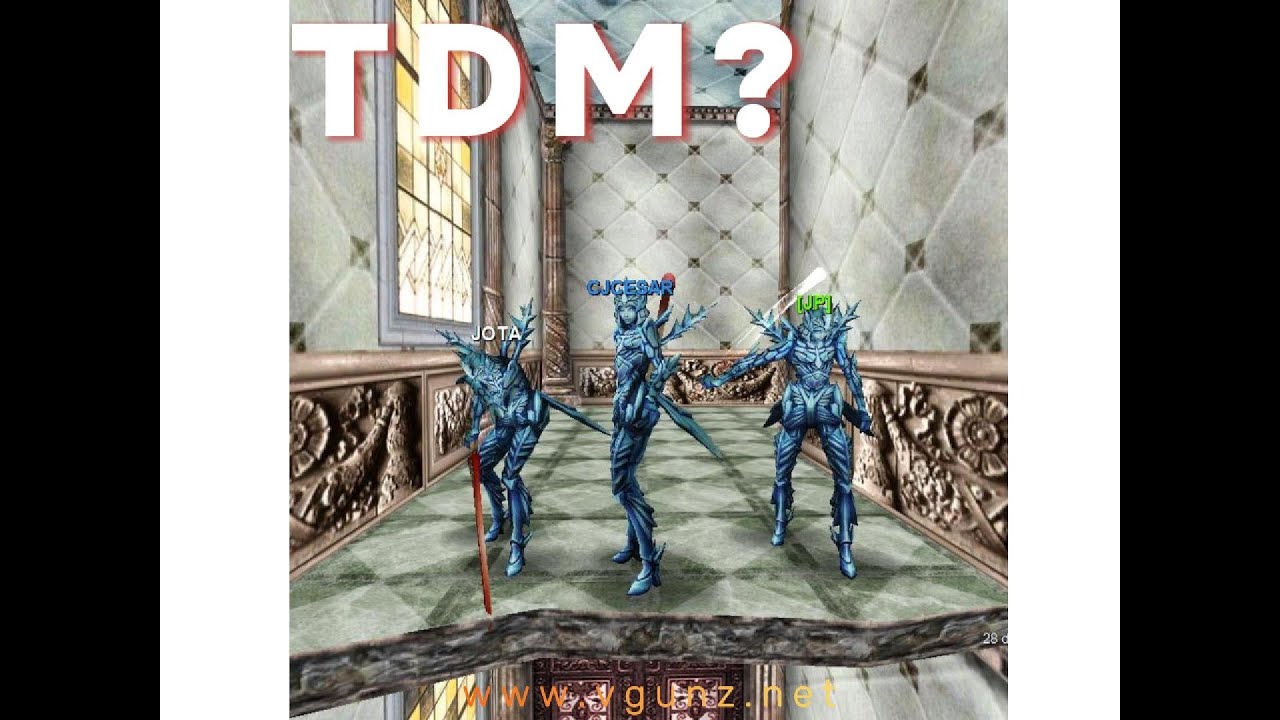 tdm vengeance gunz - YouTube