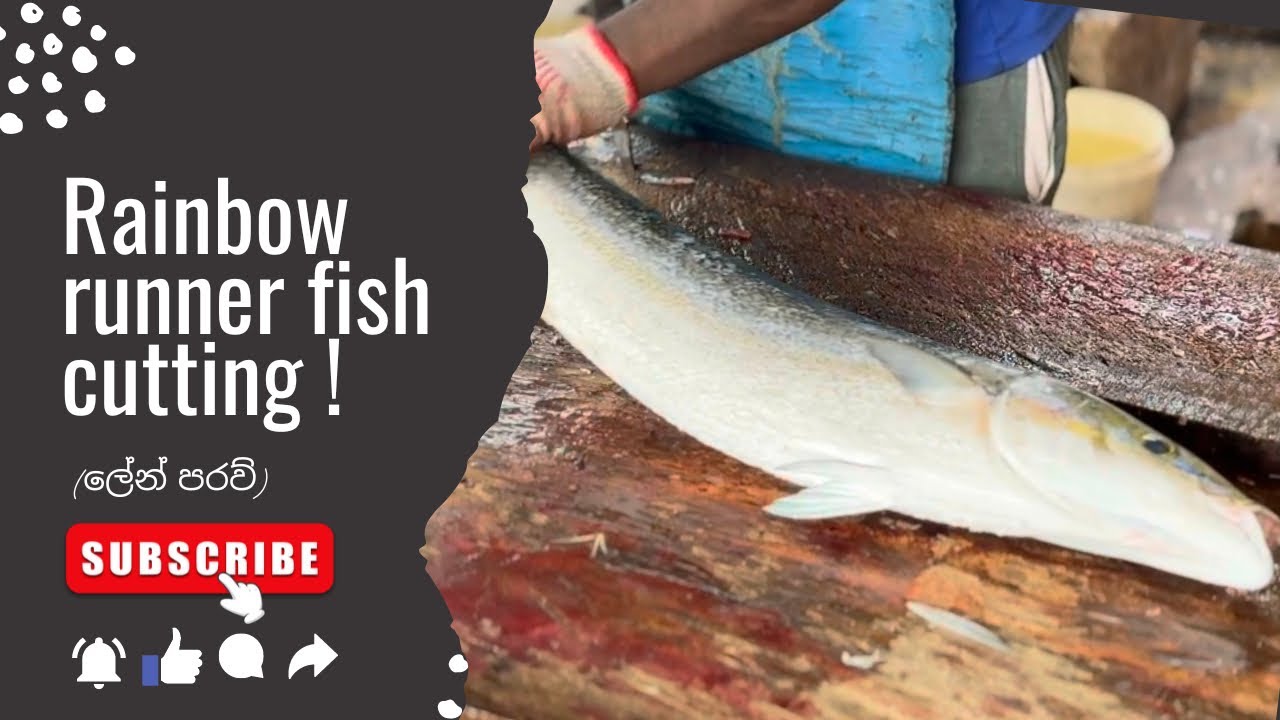 Mastering Rainbow Runner Fish (ලේන් පරවා) Cutting: Expert Tutorial 🐟🧑🏼 ...