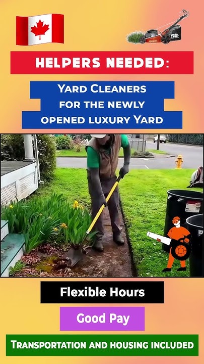 yard cleanup jobs - YouTube
