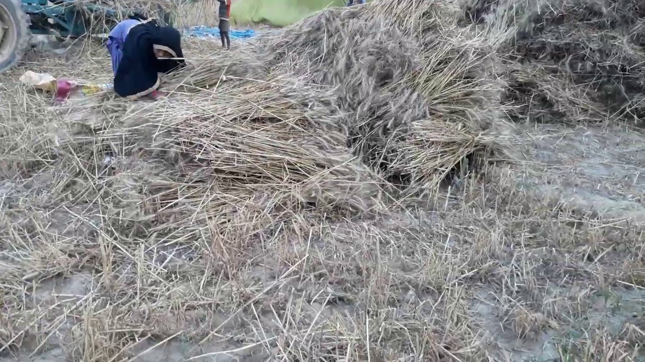 Gulariya bardiya Nepal gahu daudai garda ko video - YouTube