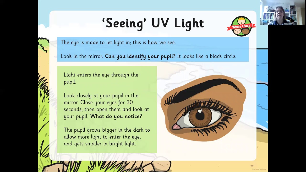 Science Protection from light - YouTube