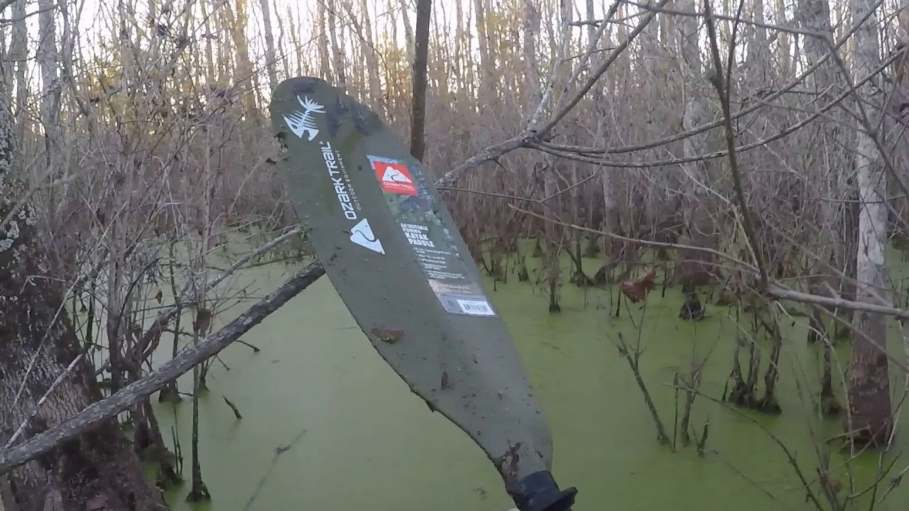 Kayak Scouting in a swamp part 1 - YouTube