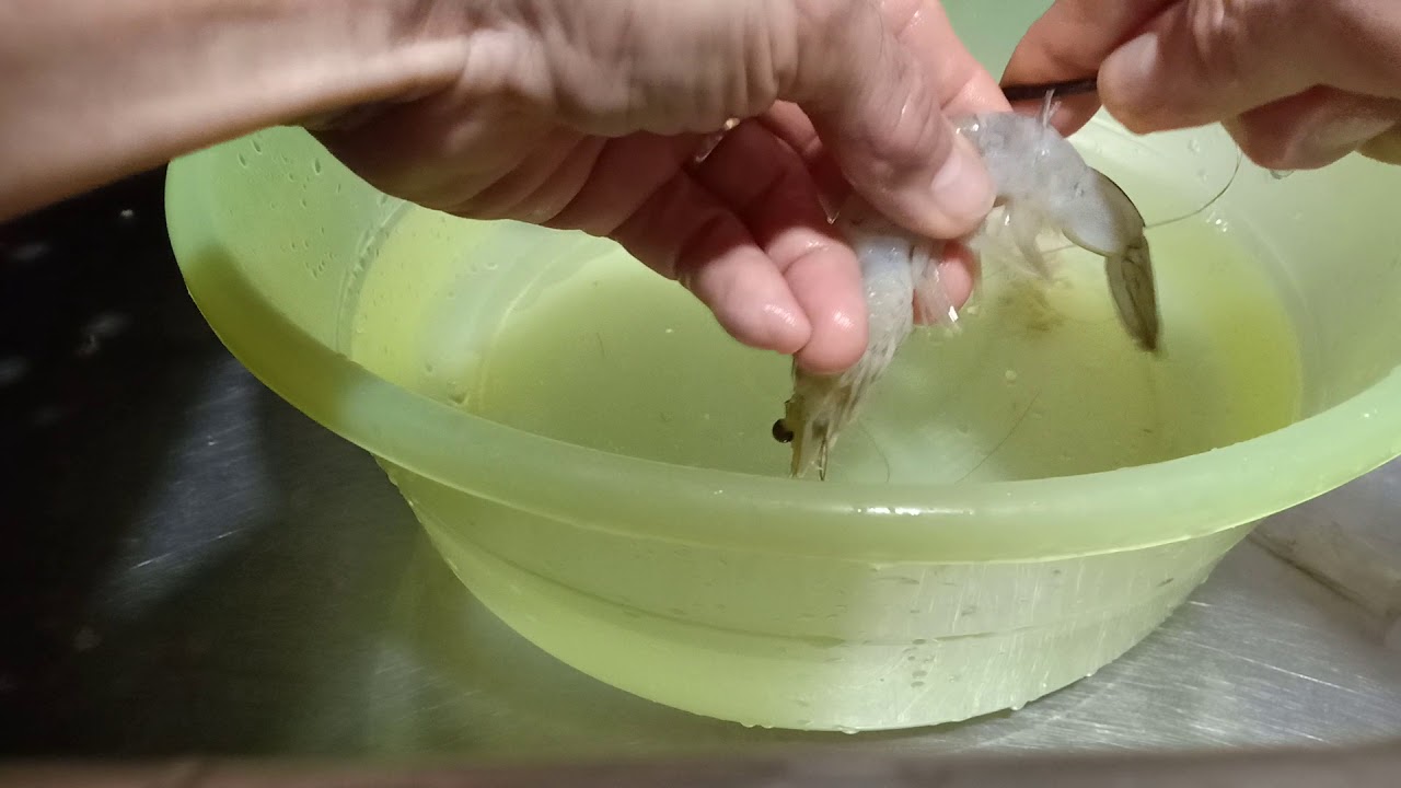 Bersihkan usus Udang - YouTube