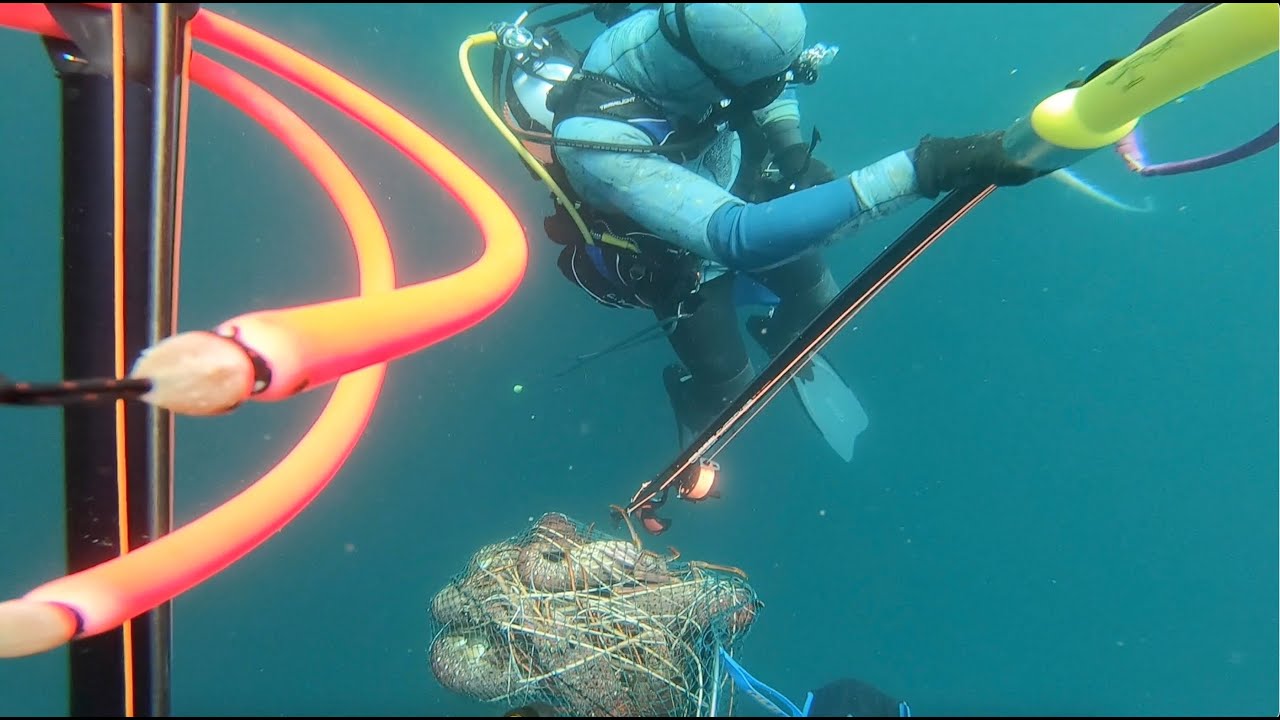 Loaded Ledges | Cray Diving WA - YouTube
