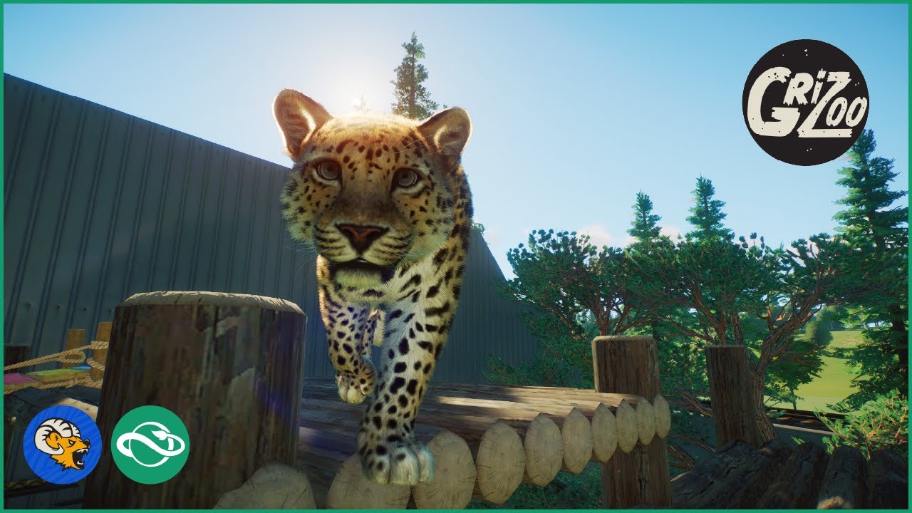 Building a Leopard Exhibit 😻 | Planet Zoo Franchise | Speed Build - YouTube