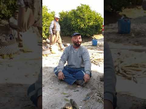 bu kadarmı güzel anlatılır be