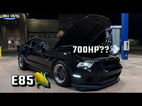 I bought a BOOSTED s197 stick shift 5.0 + Mod list + Detailing it - YouTube
