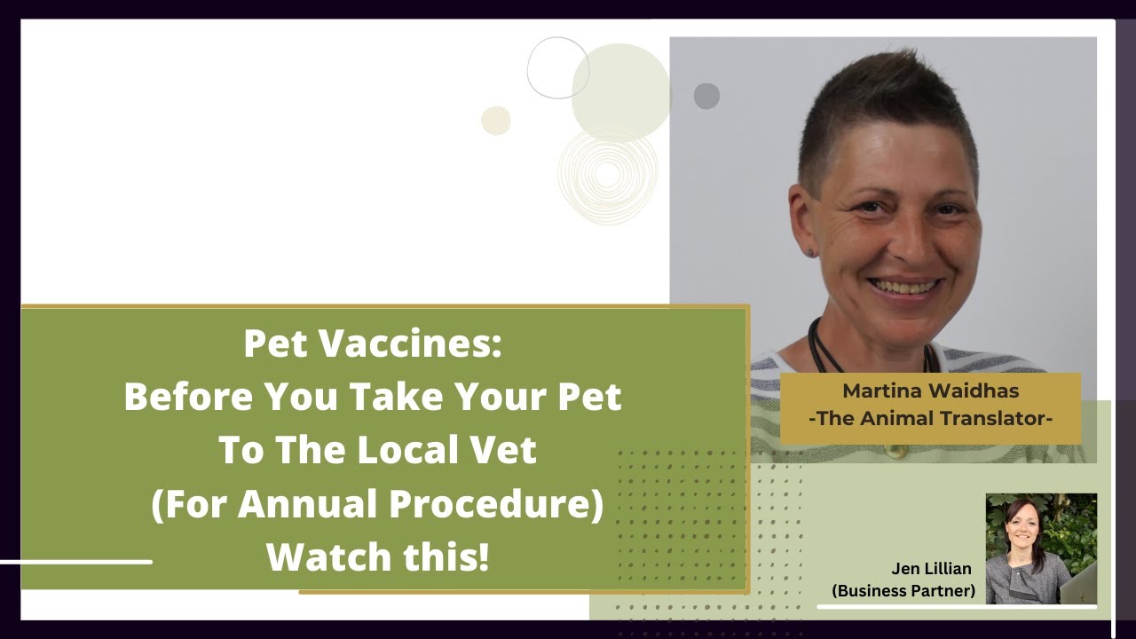 Pet Vaccines: Before You Take Your Pet To Local Vet(For Annual ...